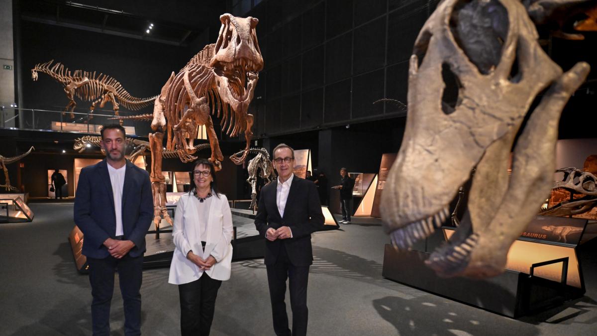 CosmoCaixa viaja a la Patagonia de la era mesozoica en su nueva muestra ...