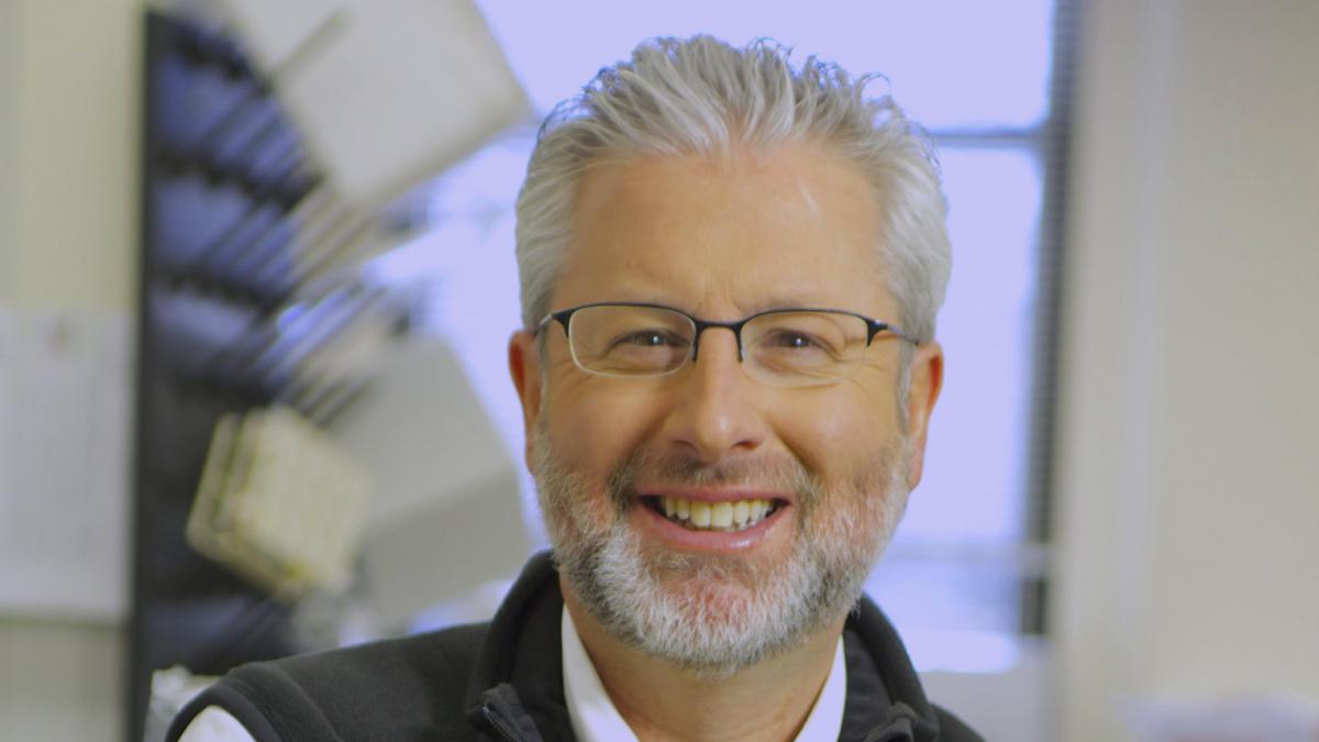 El paleontólogo Neil Shubin disertará en CosmoCaixa sobre la salida del ...